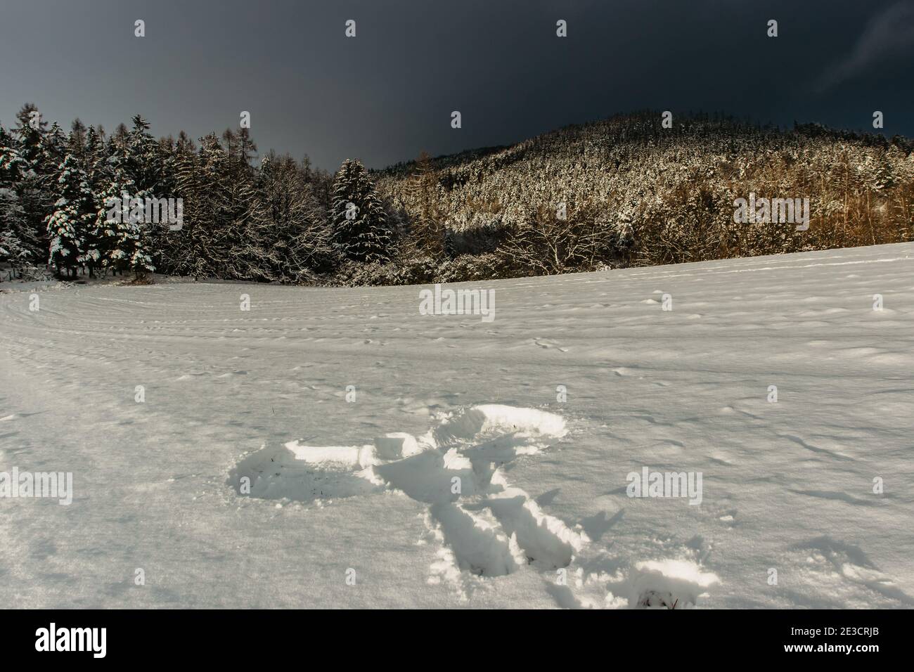 Snow angel in the fresh snow. Trace from the human adult body in winter ...