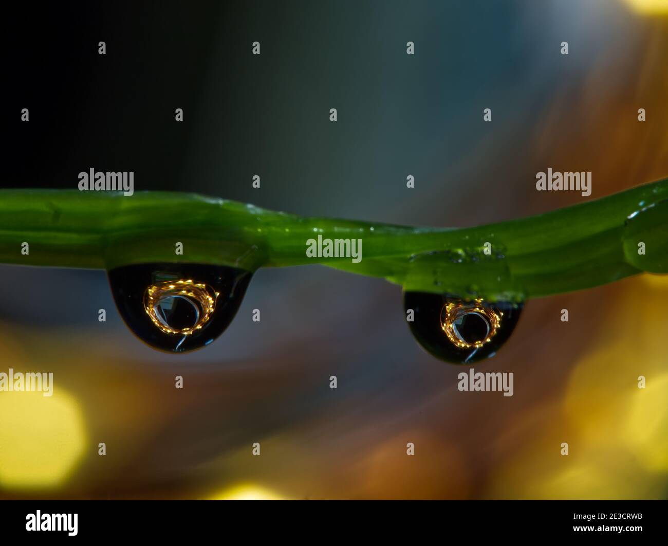 Abstract macro shots with water drops and blur bokeh Stock Photo - Alamy