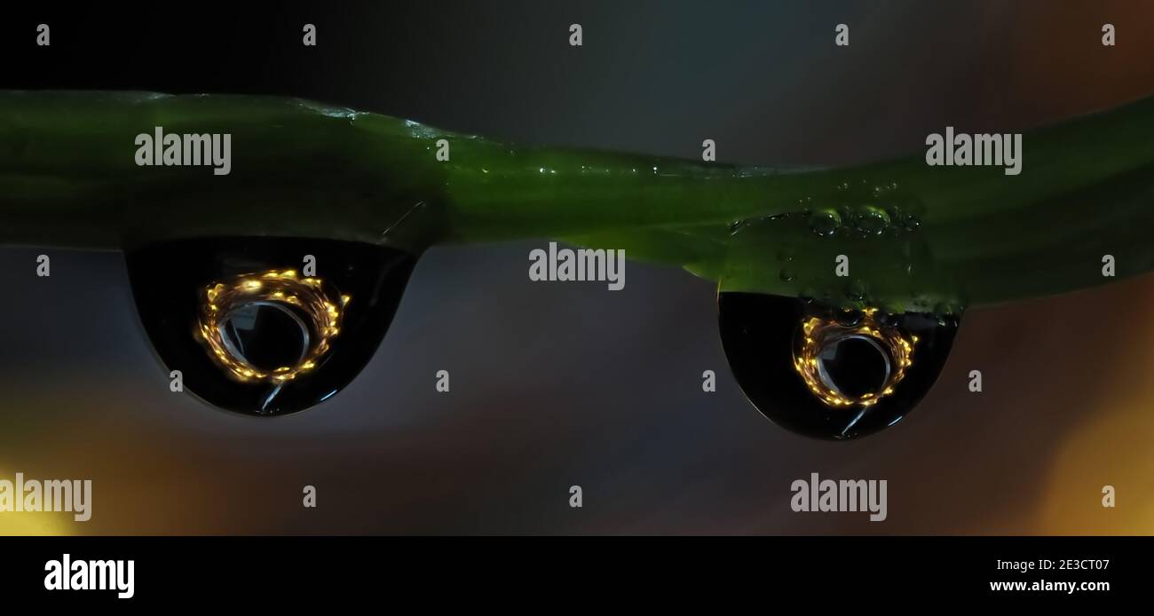 Abstract macro shots with water drops and blur bokeh Stock Photo - Alamy