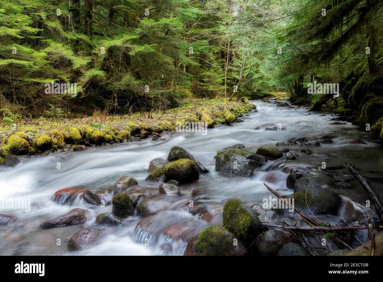 This is the Zigzag River near Rhododendron, Oregon. It was taken in ...