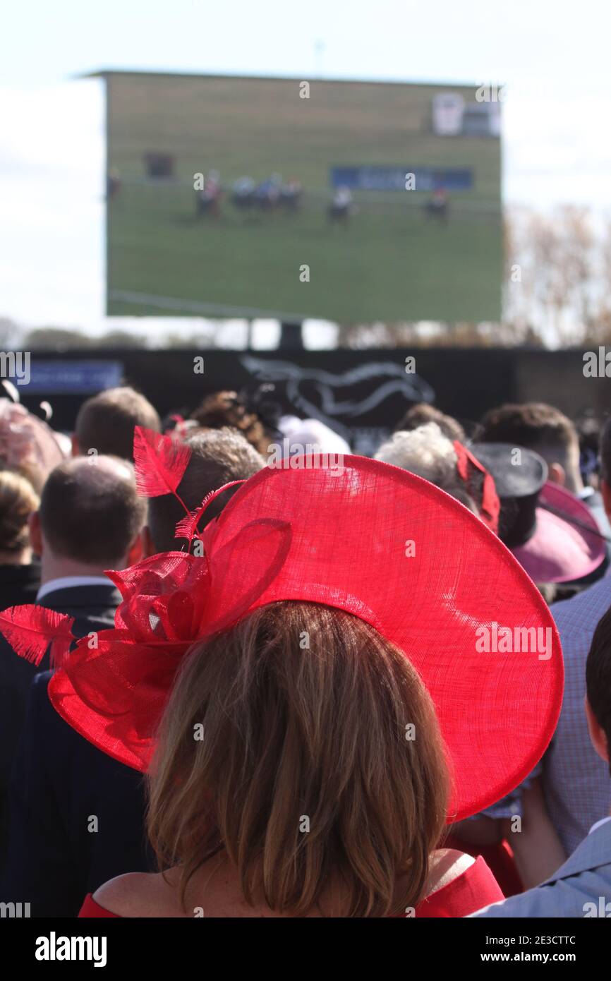 Ayr racecourse, Ayr, Ayrshire Scotland, ,UK Stock Photo - Alamy