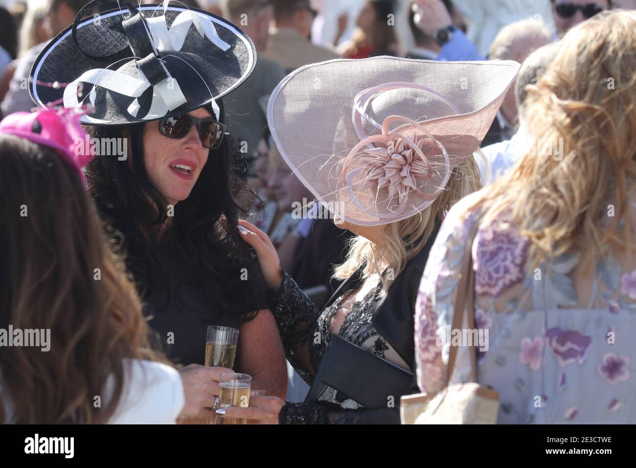 Ayr racecourse ayr hi-res stock photography and images - Alamy