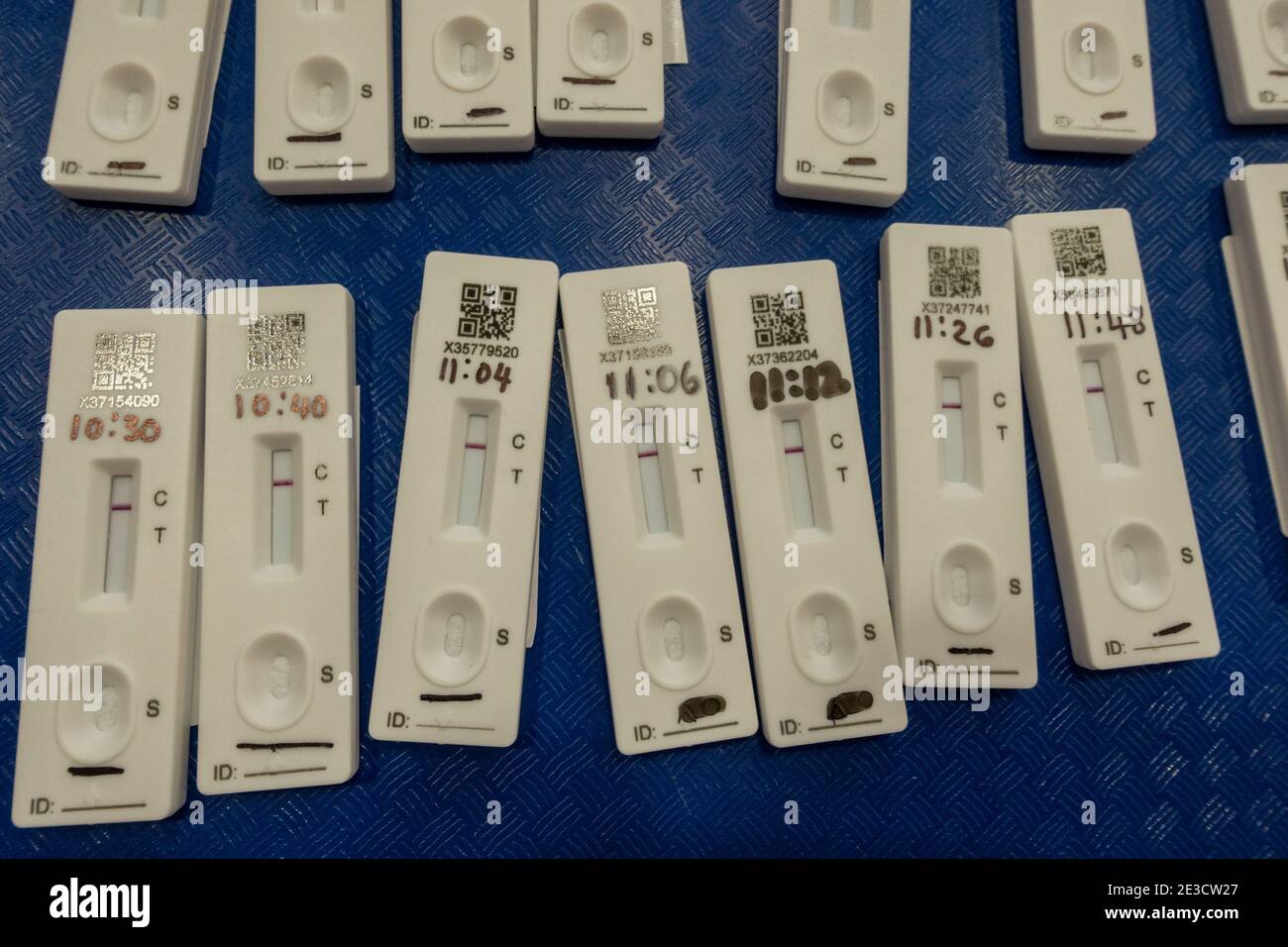 A tray of used Innova lateral flow tests (all negative) used to test ...