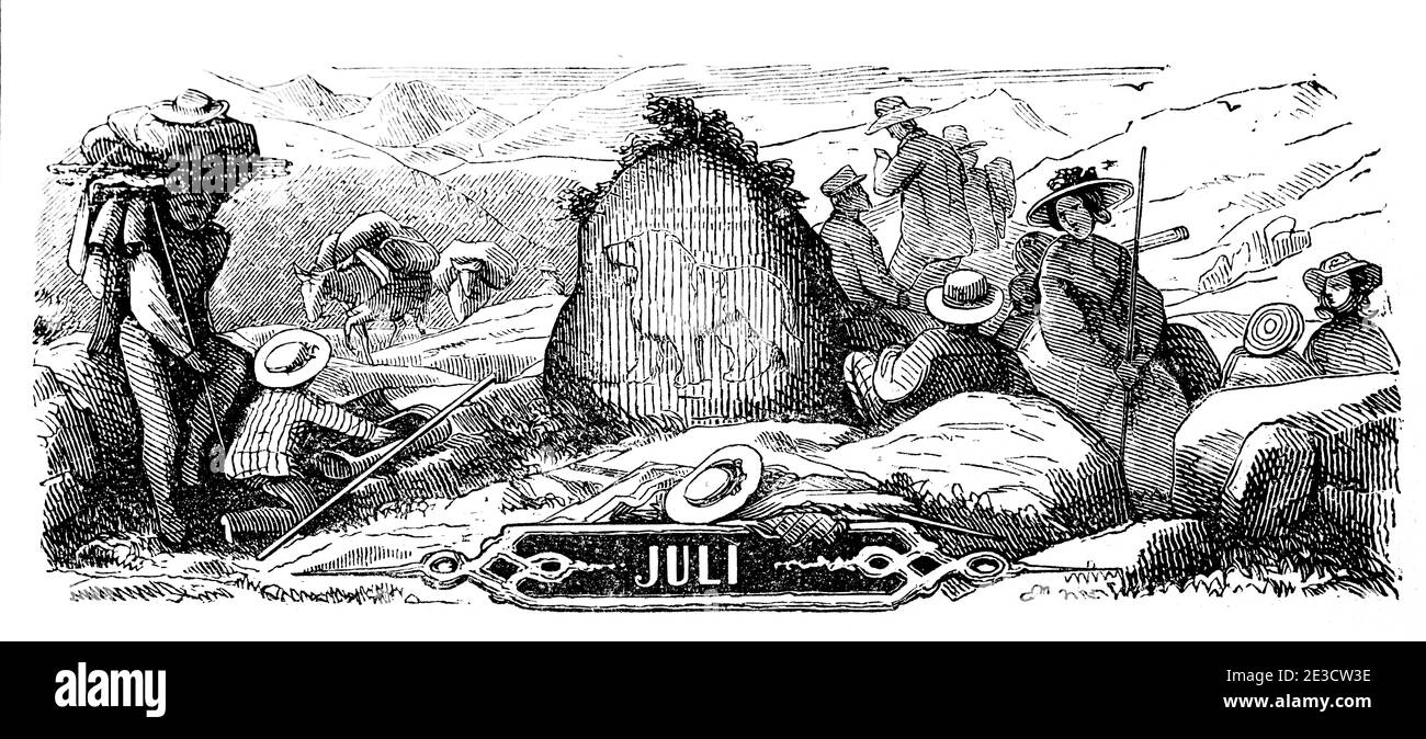 Month of July in the Illustrated Swiss Calendar of 1853 with the months ...