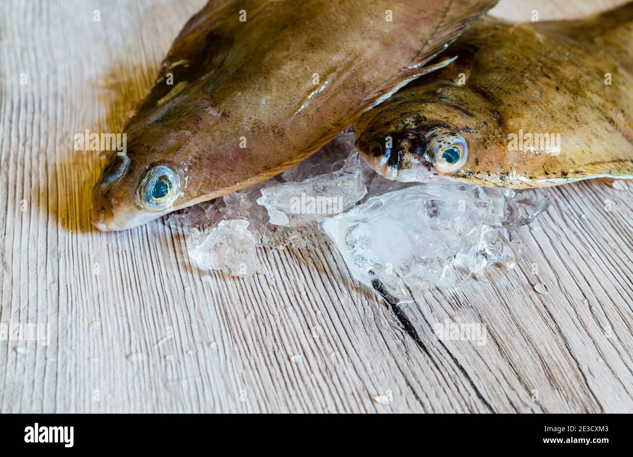 Black flounder hi-res stock photography and images - Alamy