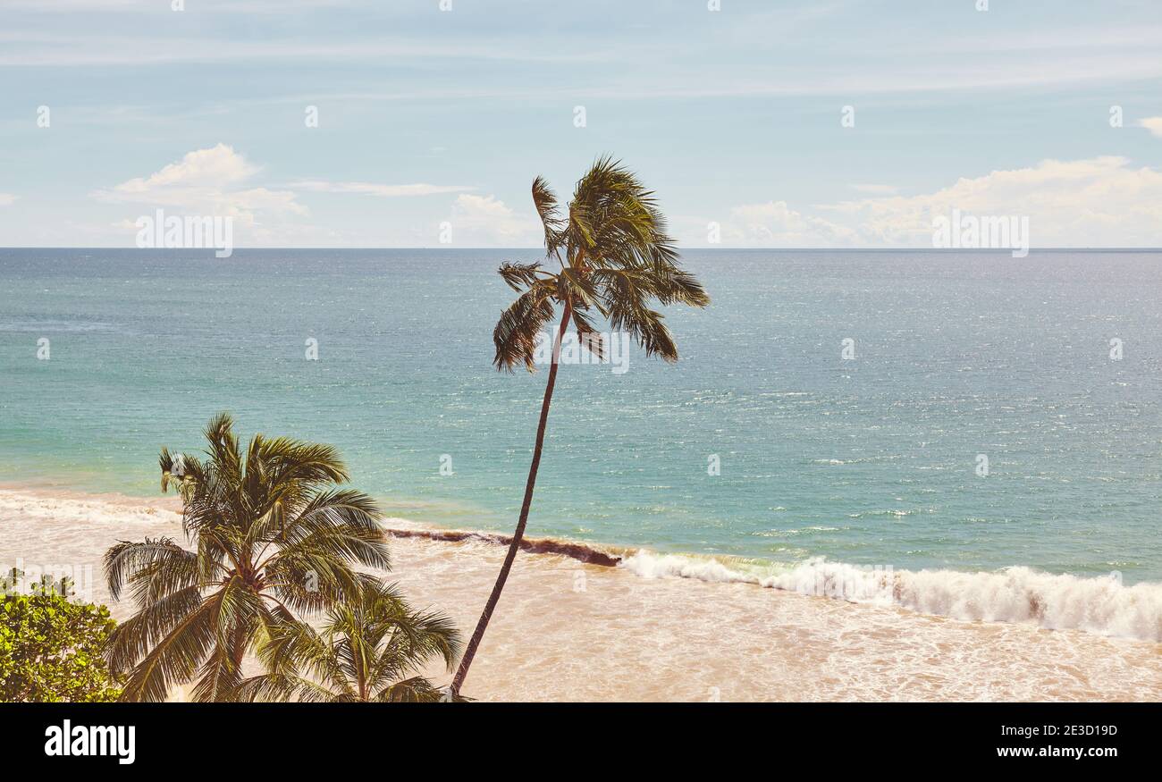 Tropical beach with coconut palm trees, color toned picture Stock Photo ...