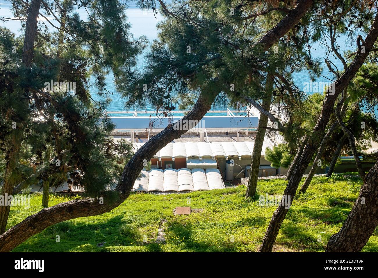 Oak trees greece hi-res stock photography and images - Alamy