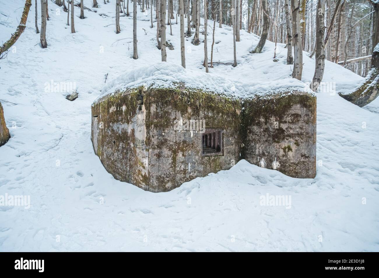 Bunker In The Forest High Resolution Stock Photography and Images - Alamy