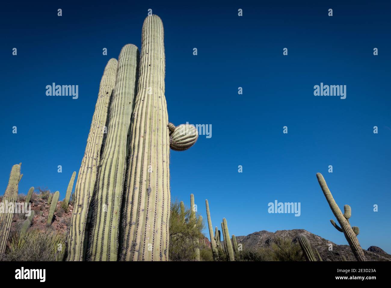 Colossal Cave Mountain Park Stock Photo - Alamy