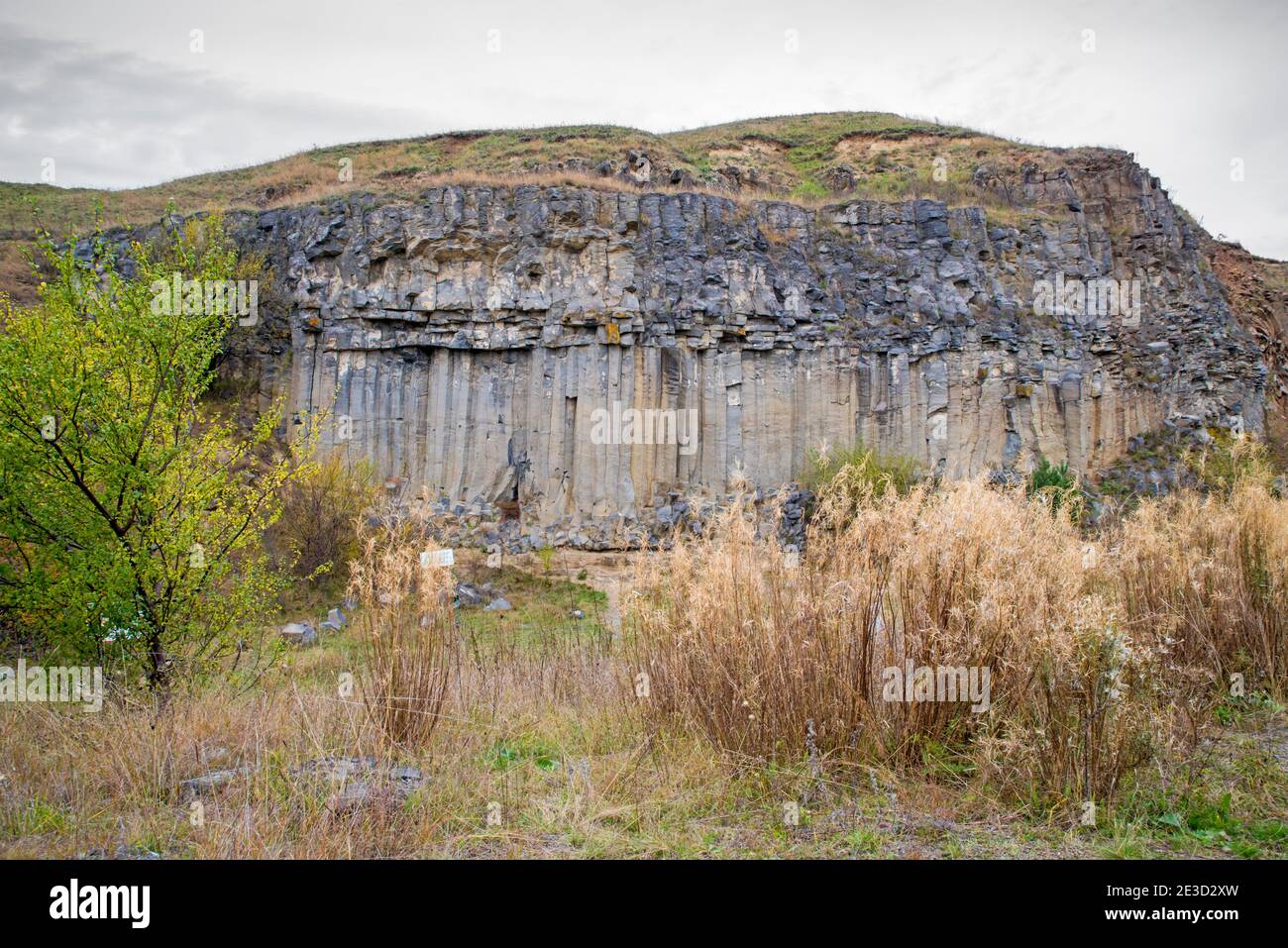 Columns of basalt from Racos are the result of volcanic activity who ...