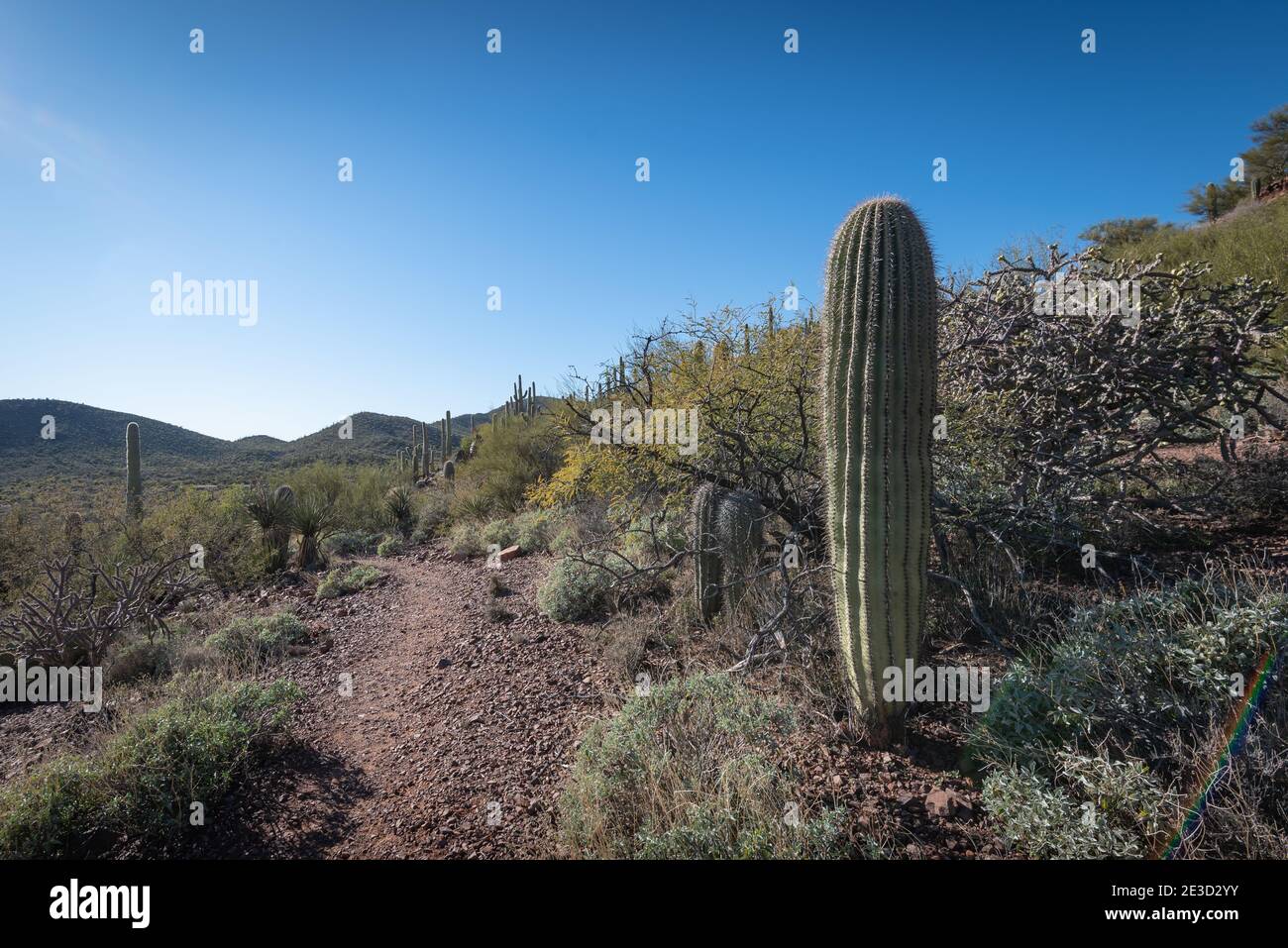 Colossal Cave Mountain Park Stock Photo - Alamy