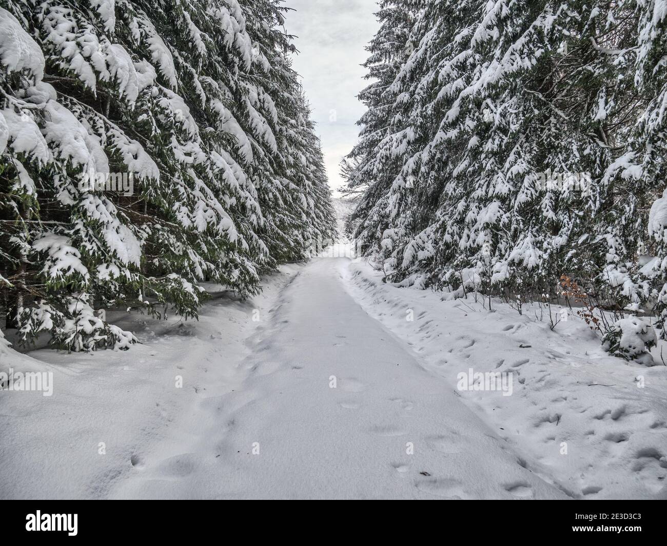 Ice covered footpath frozen hi-res stock photography and images - Alamy