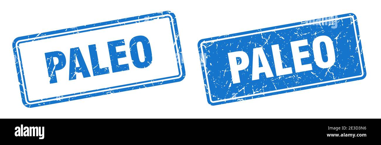 paleo square stamp. paleo grunge sign set Stock Vector Image & Art - Alamy