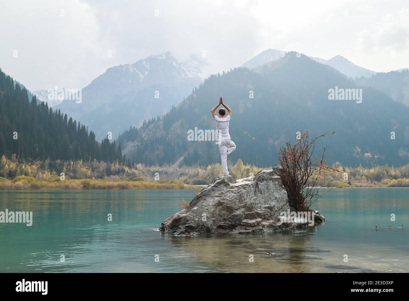 A zen man in white practices yoga in nature. Pose Vrikshasana or tree ...