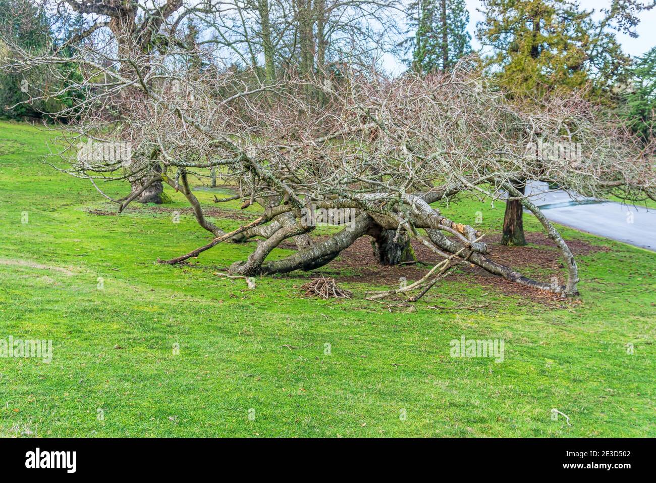 Point Defiance Park High Resolution Stock Photography and Images - Alamy