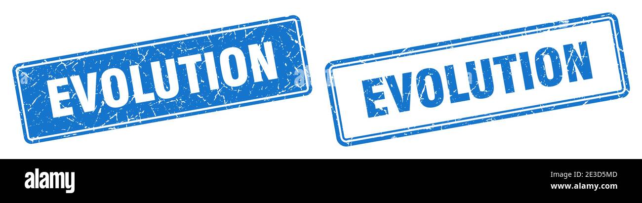 evolution square stamp. evolution grunge sign set Stock Vector Image ...
