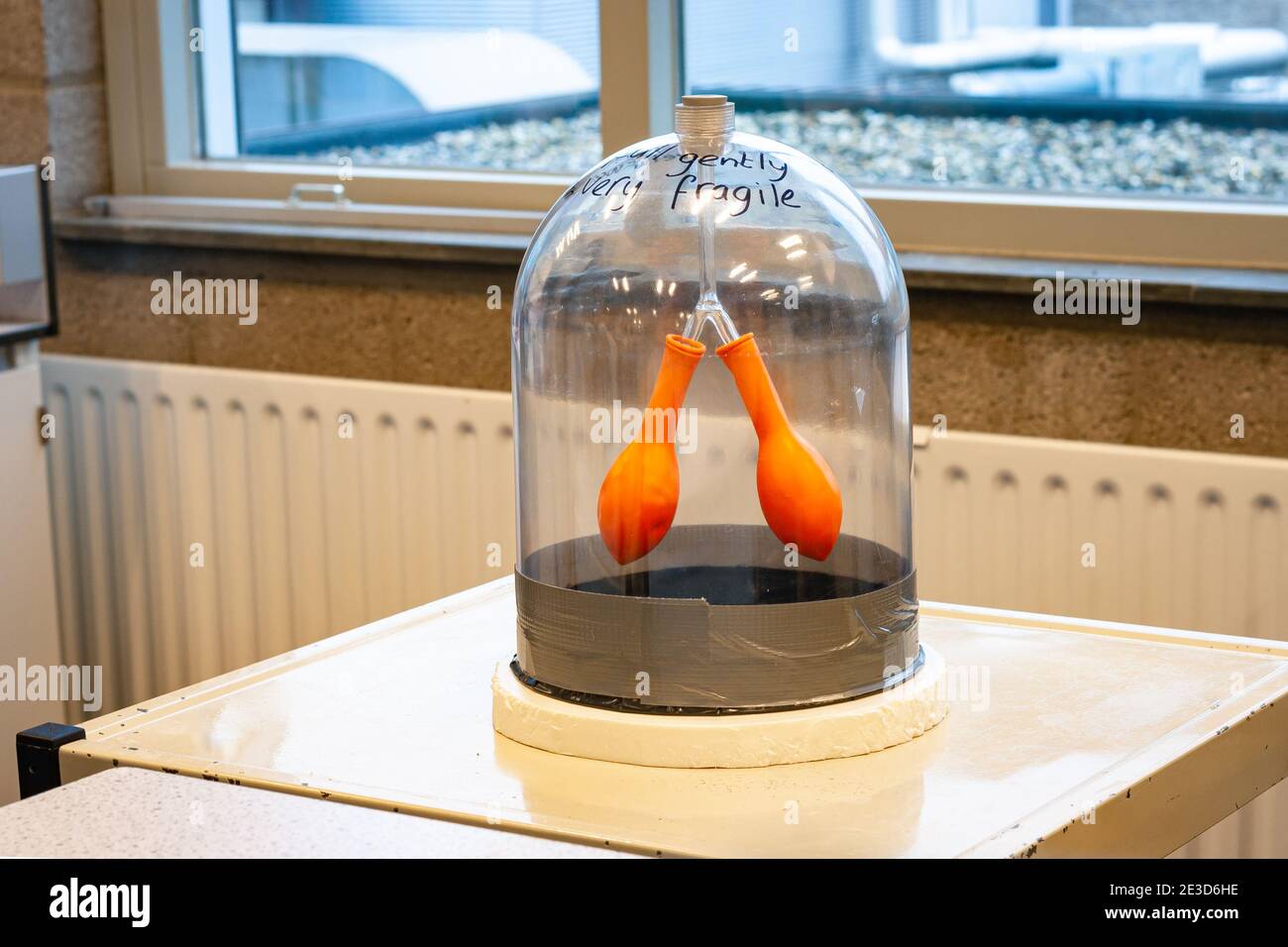 Lung model experiment hi-res stock photography and images - Alamy