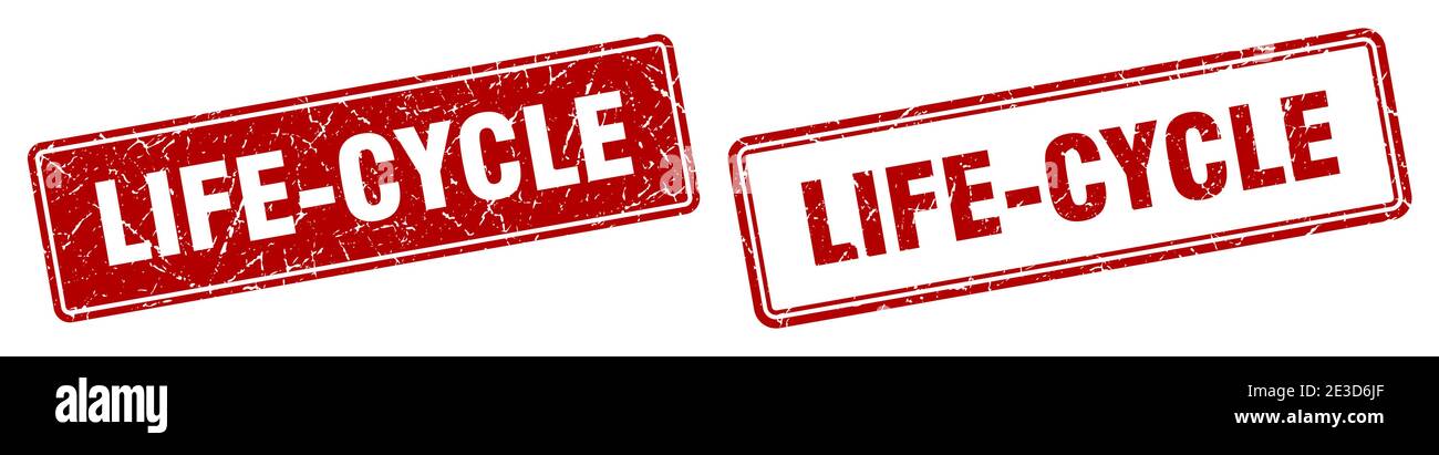 life-cycle square stamp. life-cycle grunge sign set Stock Vector Image ...