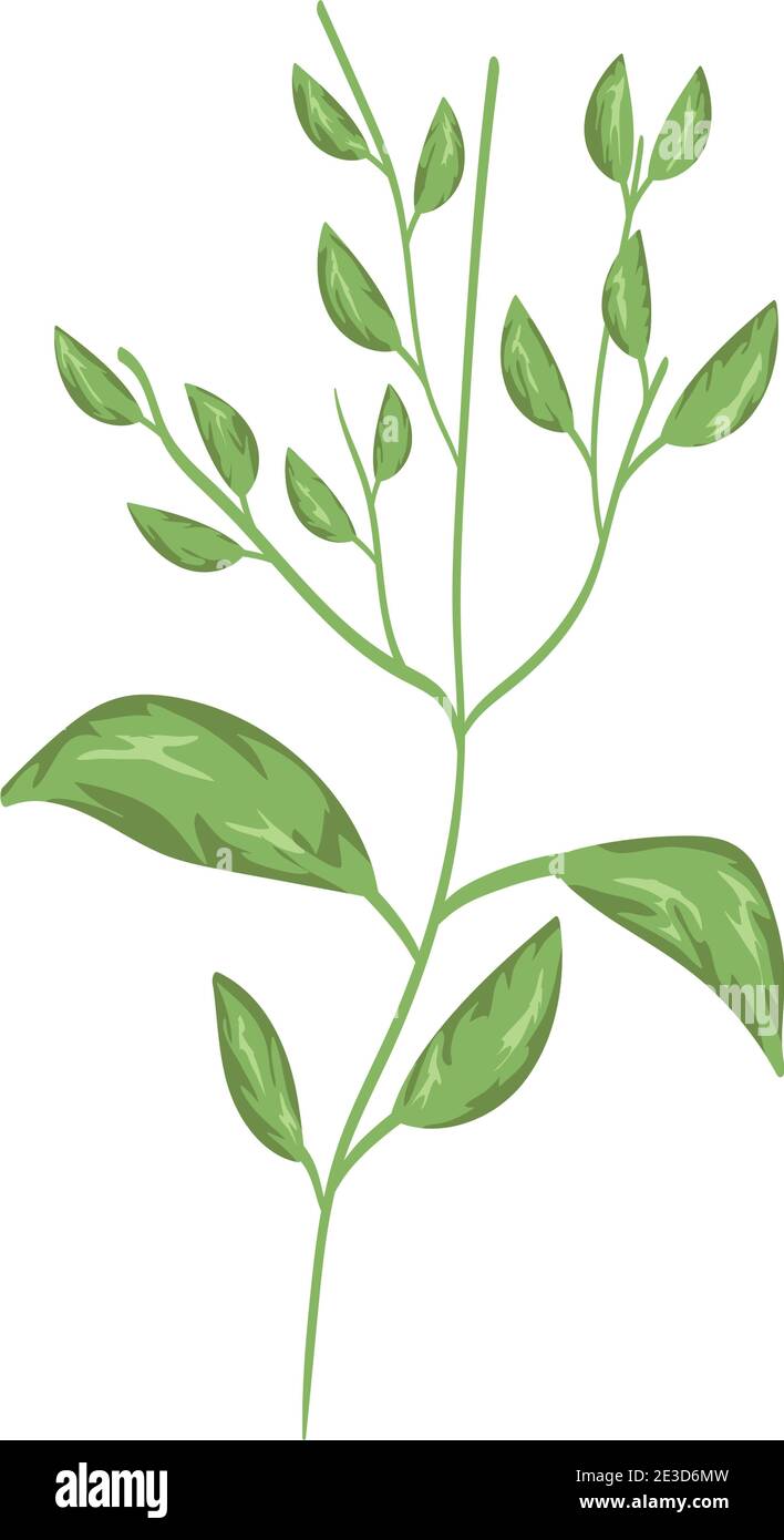 branch foliage nature decoration painting isolated design vector ...