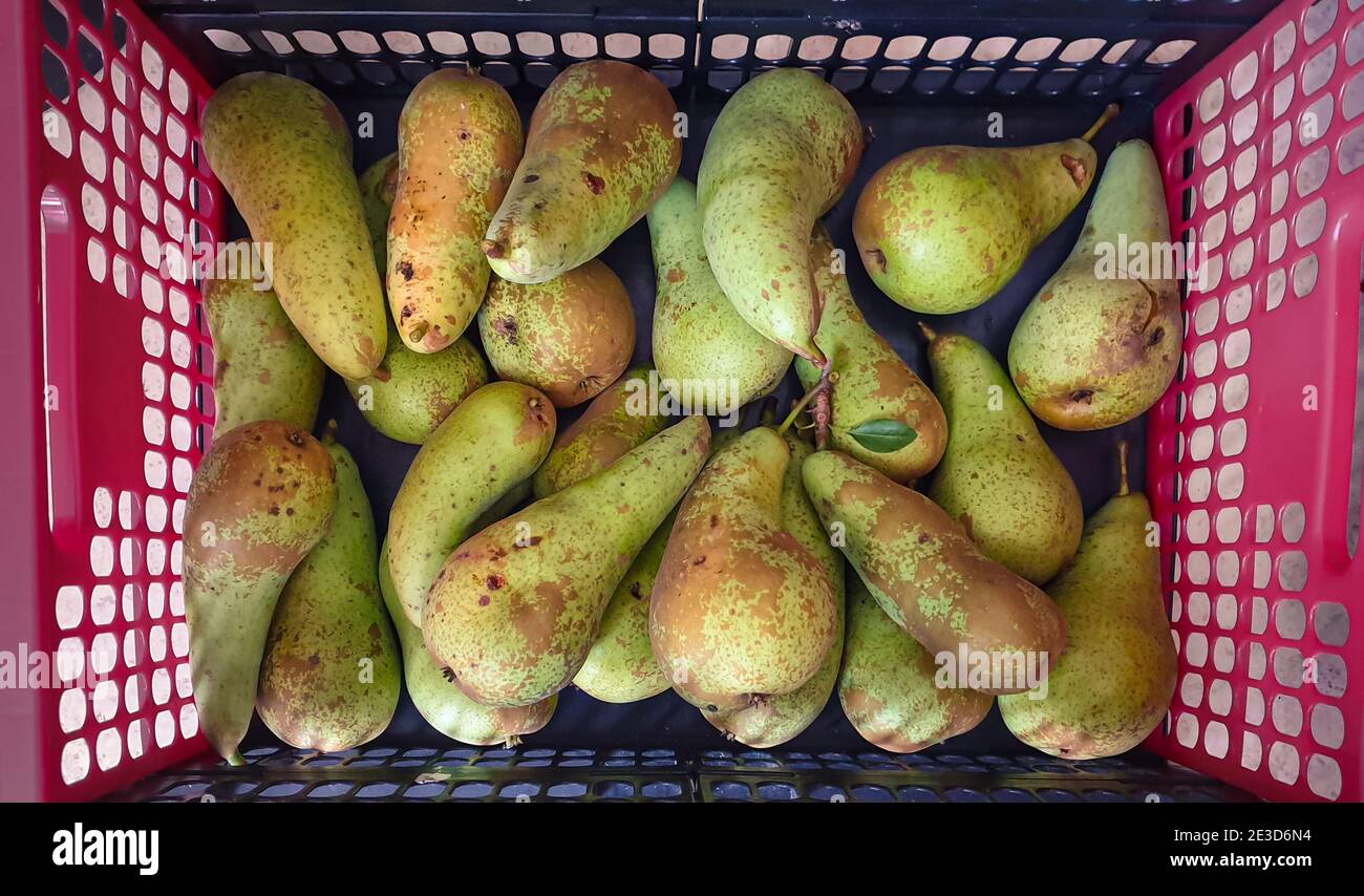 Fresh raw pear fruit hi-res stock photography and images - Alamy