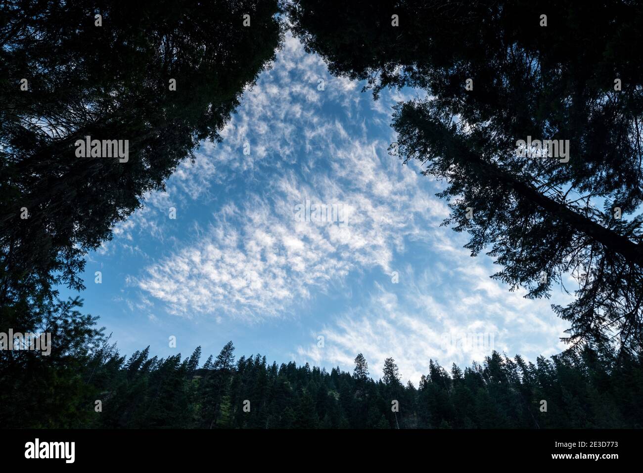 Oregon sky hi-res stock photography and images - Alamy