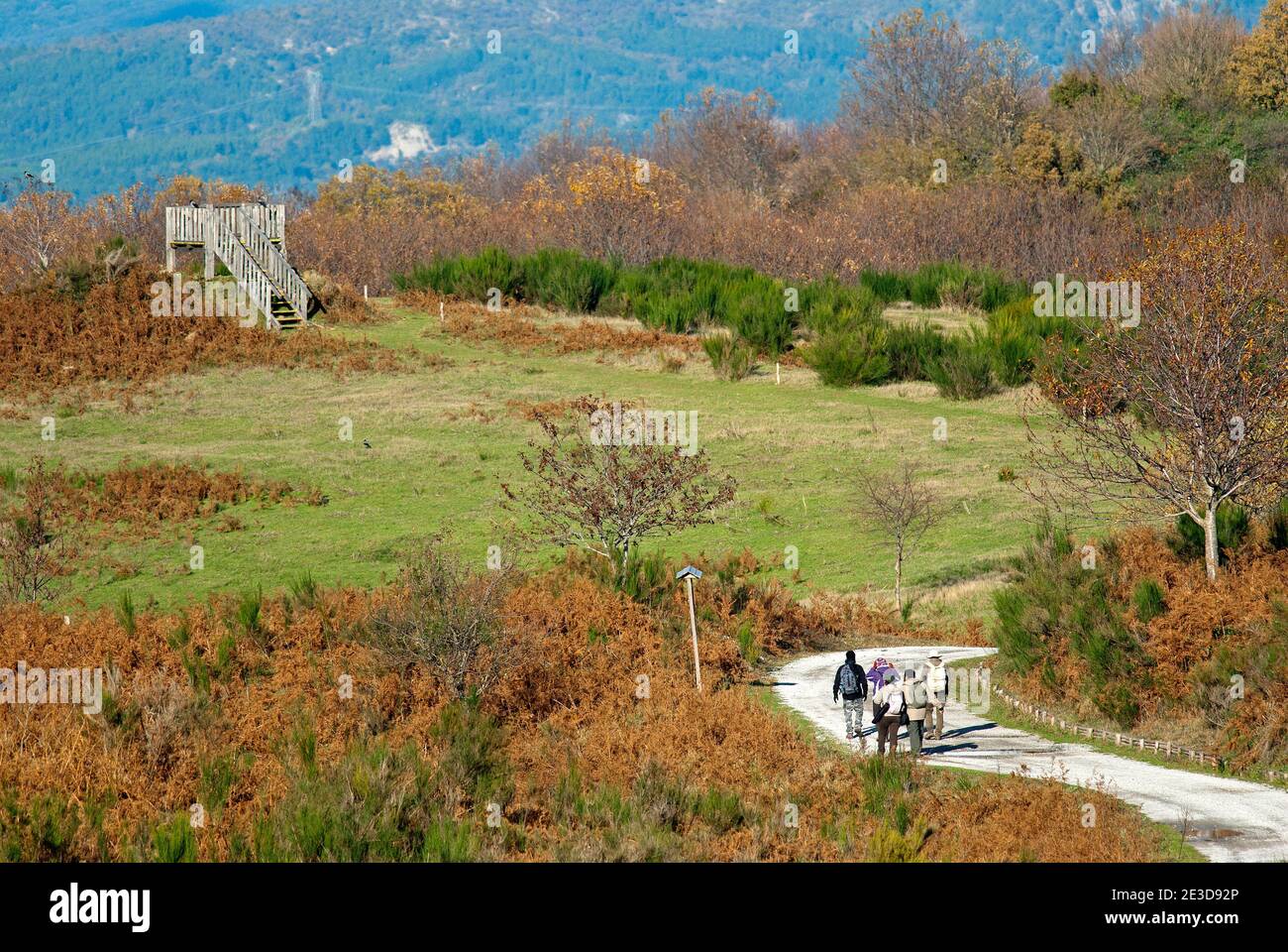 Monte Amiata Wildlife Reserve (included in Monte Labbro Nature Reserve ...