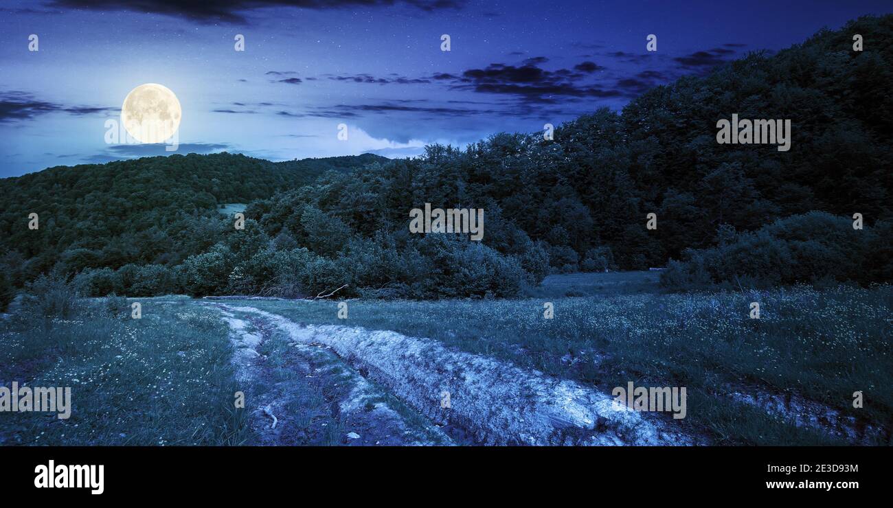dirt road through forested countryside at night. beautiful summer rural ...