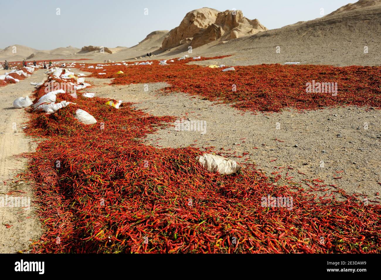 China xinjiang chili hi-res stock photography and images - Alamy