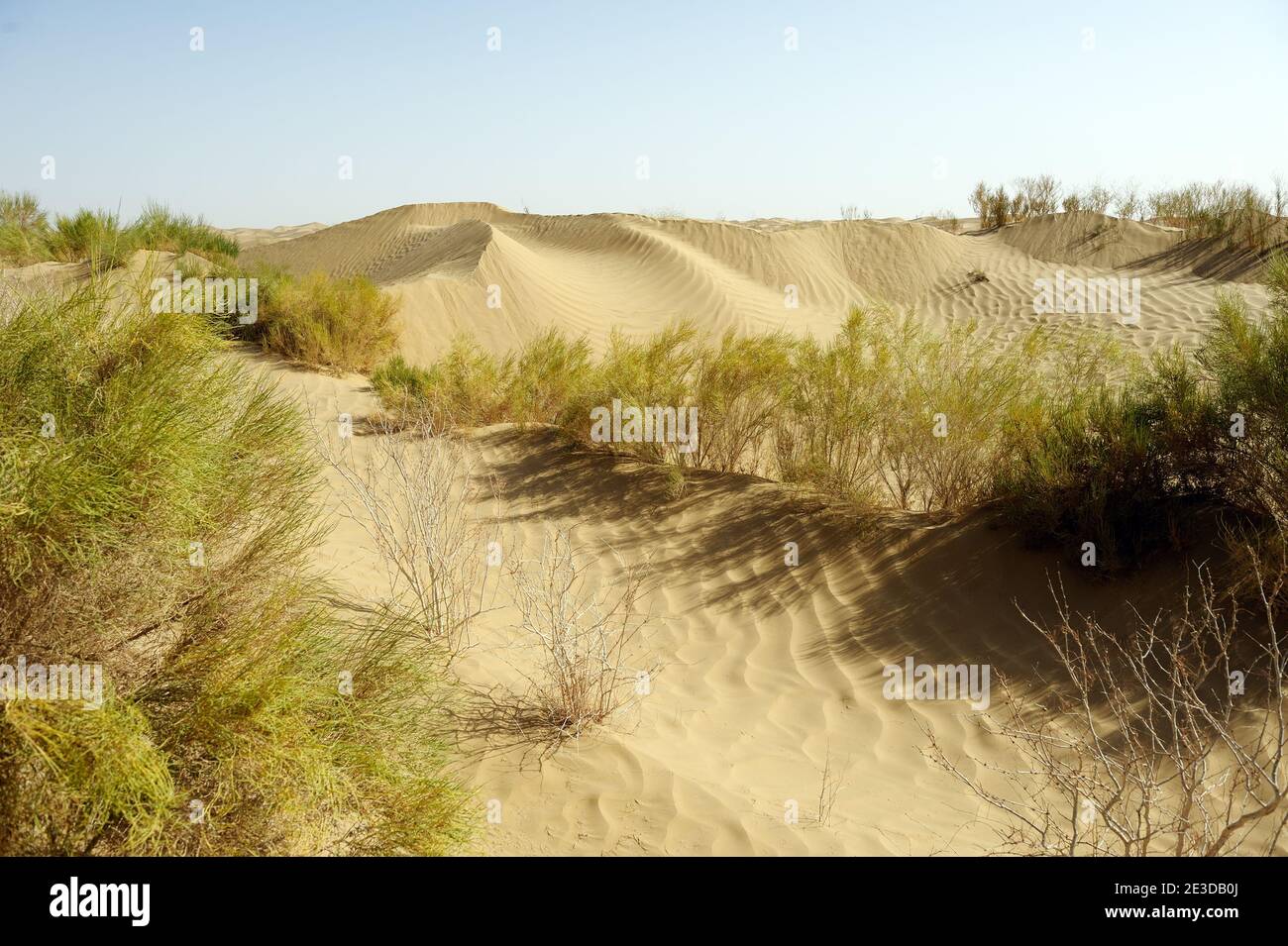 Taklamakan desert in Chinese Xinjiang province Stock Photo - Alamy