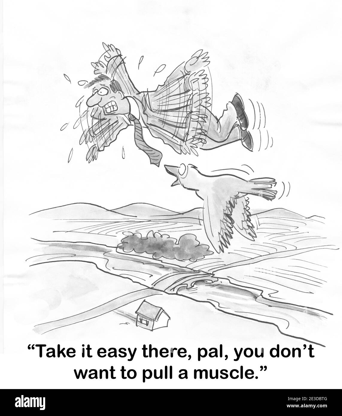 Executive bird hi-res stock photography and images - Alamy