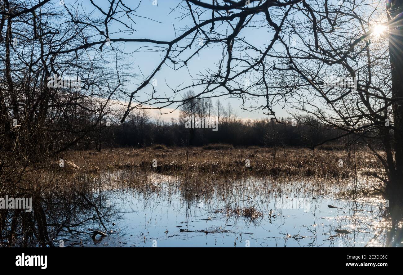 Marsland hi-res stock photography and images - Alamy