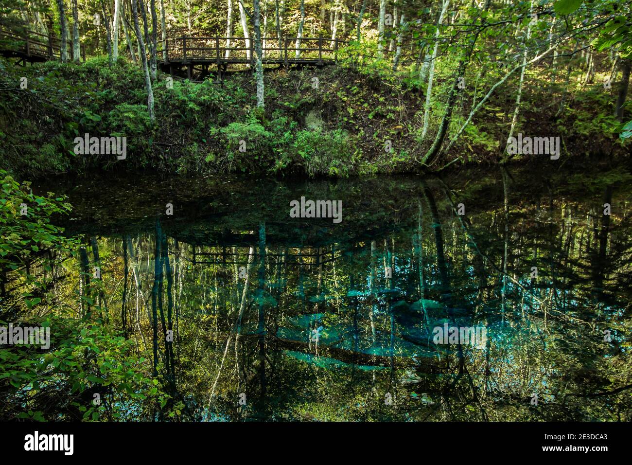 Scenery of "Kaminokoike", a pond famous for its clear water and blue ...