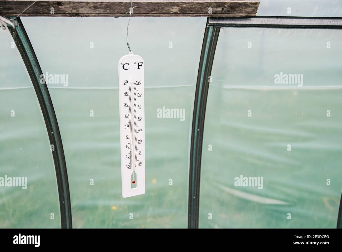 A white thermometer in greenhouse. Growing vegetables on the farm ...