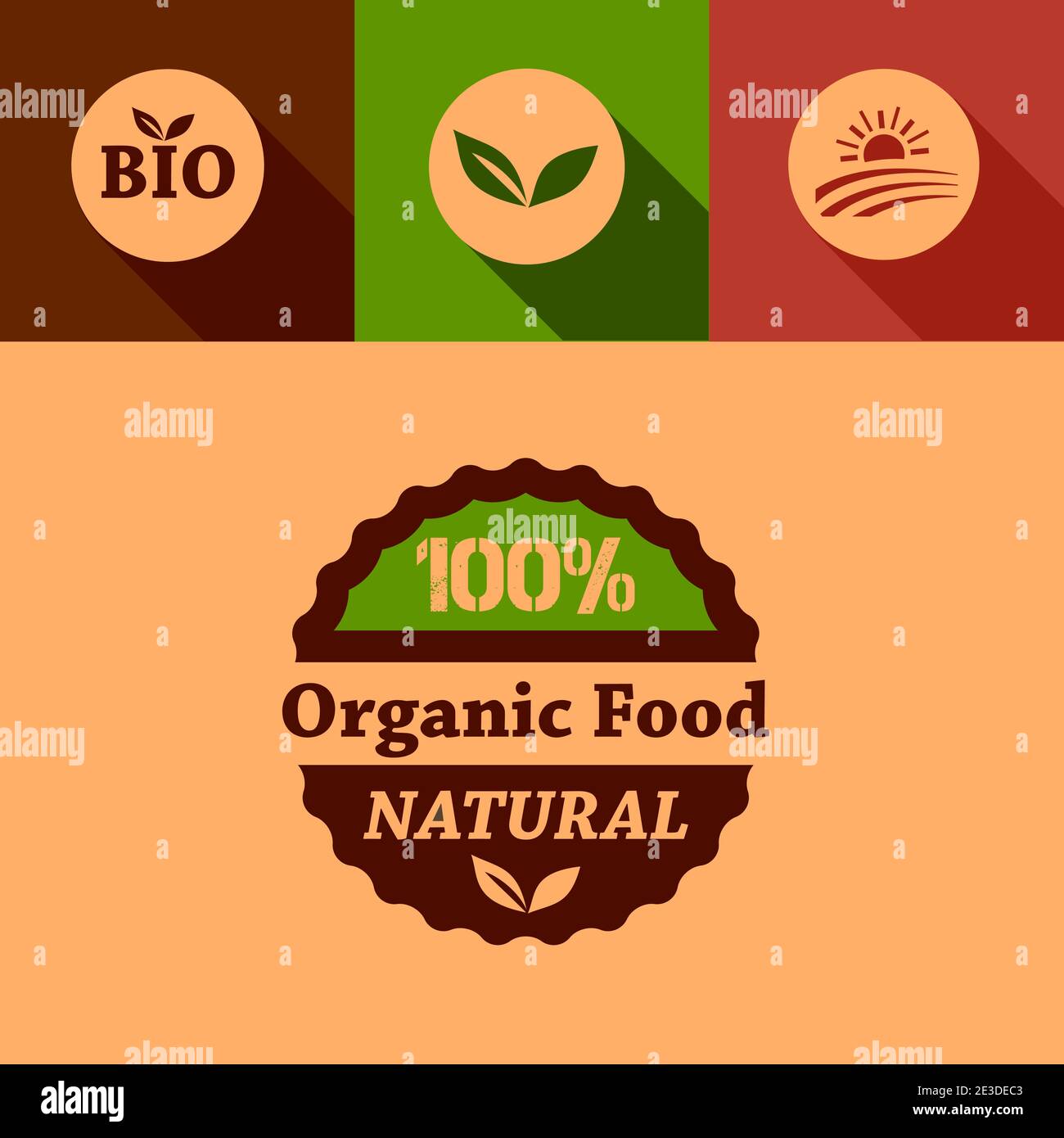 Organic Products Design Elements in Flat Design Style Stock Vector ...