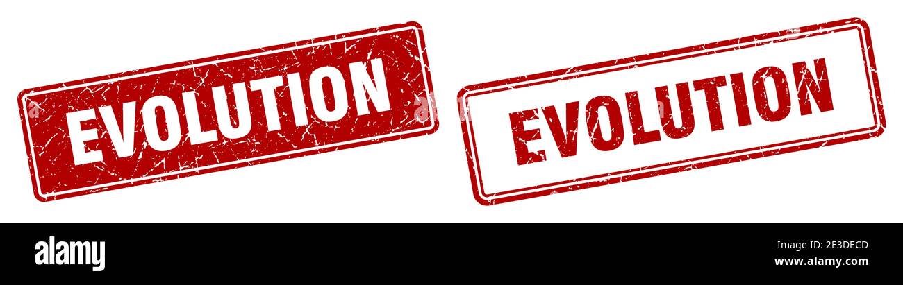 evolution square stamp. evolution grunge sign set Stock Vector Image ...