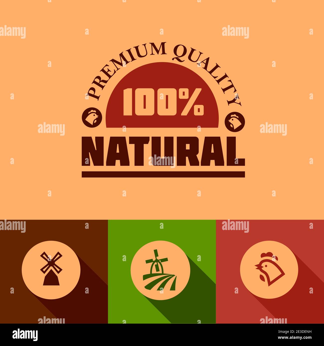 Natural Food Design Elements in Flat Design Style Stock Vector Image ...