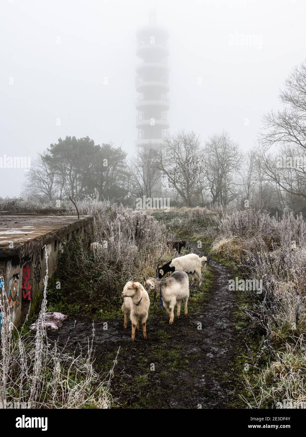 Purdown, bristol, england hi-res stock photography and images - Alamy