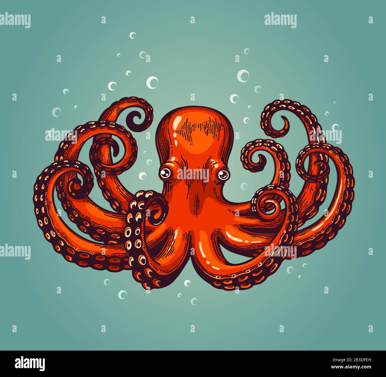 Octopus engraving. Vintage color engraving color illustration. Retro ...