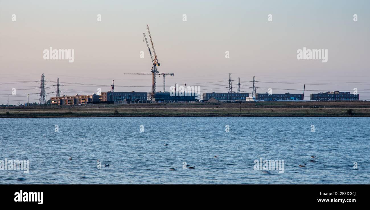 Tower cranes rise above new apartment buildings at the Barking ...