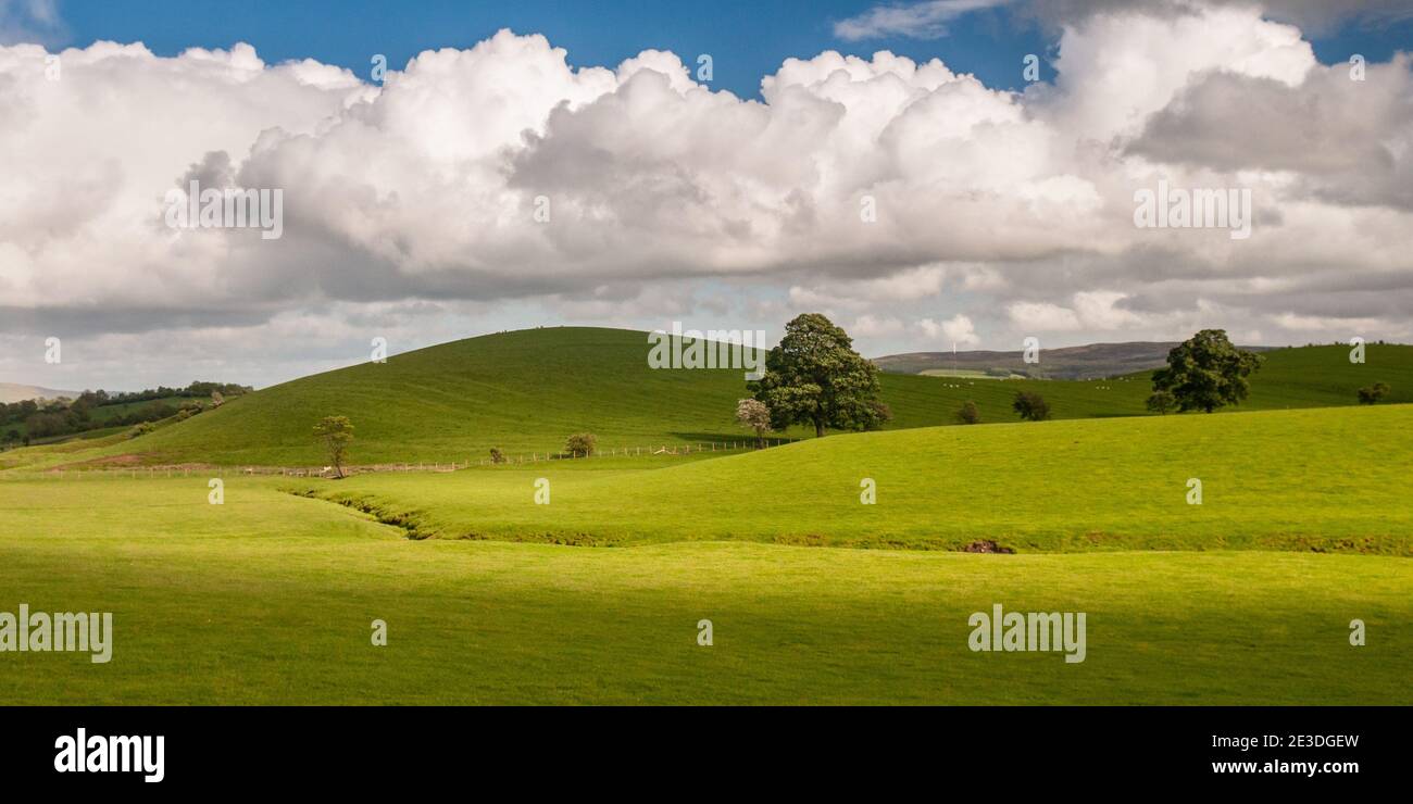 Little fields hi-res stock photography and images - Alamy