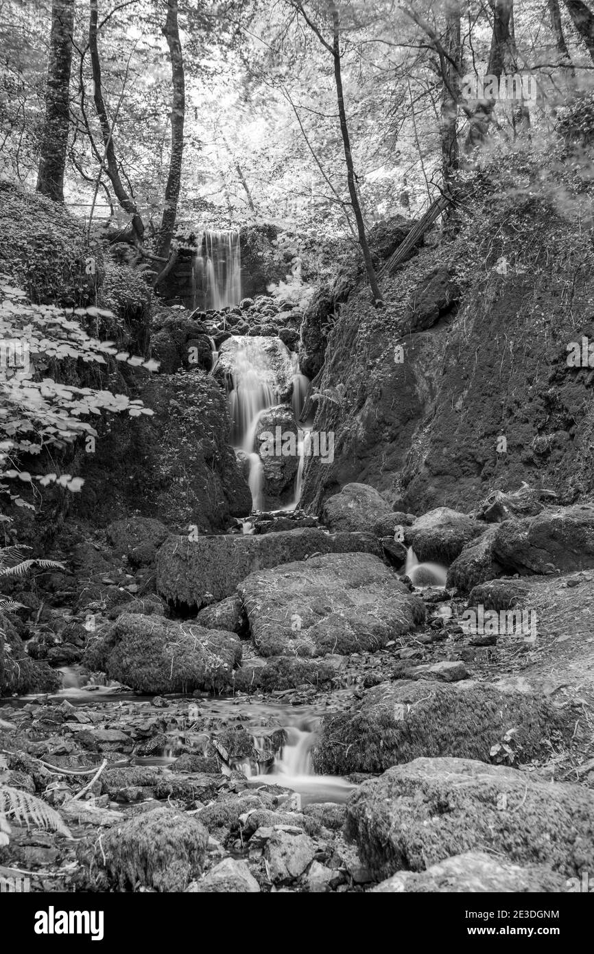 Long exposure Clampitt Falls waterfall at Canonteign Falls in Dartmoor ...
