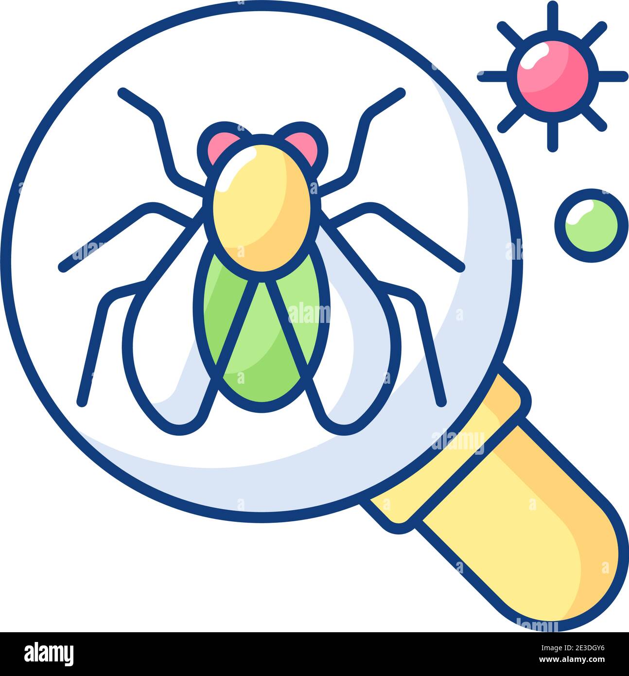 Insect model organism hi-res stock photography and images - Alamy