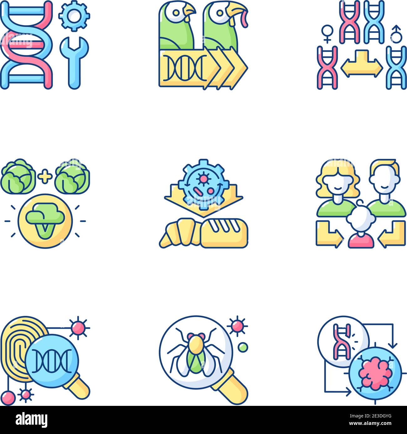 Genetics RGB color icons set Stock Vector Image & Art - Alamy