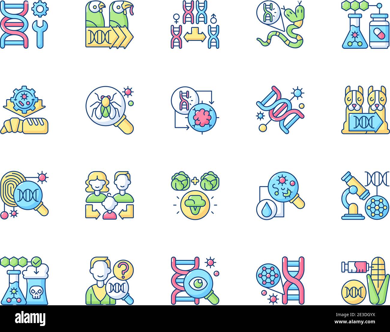 Genetic engineering RGB color icons set Stock Vector Image & Art - Alamy