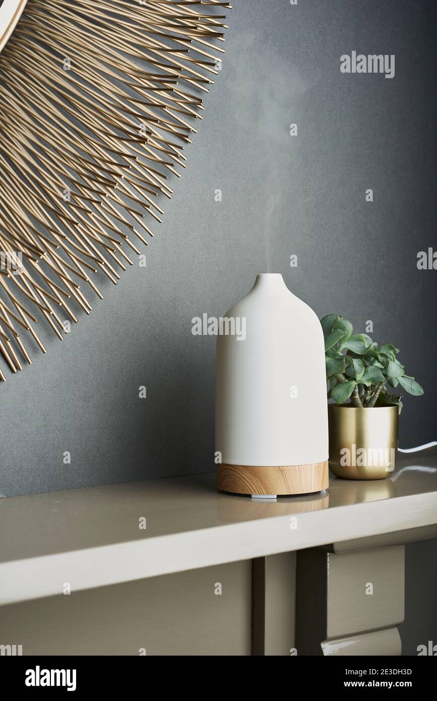 Stylish white electronic diffuser Stock Photo - Alamy