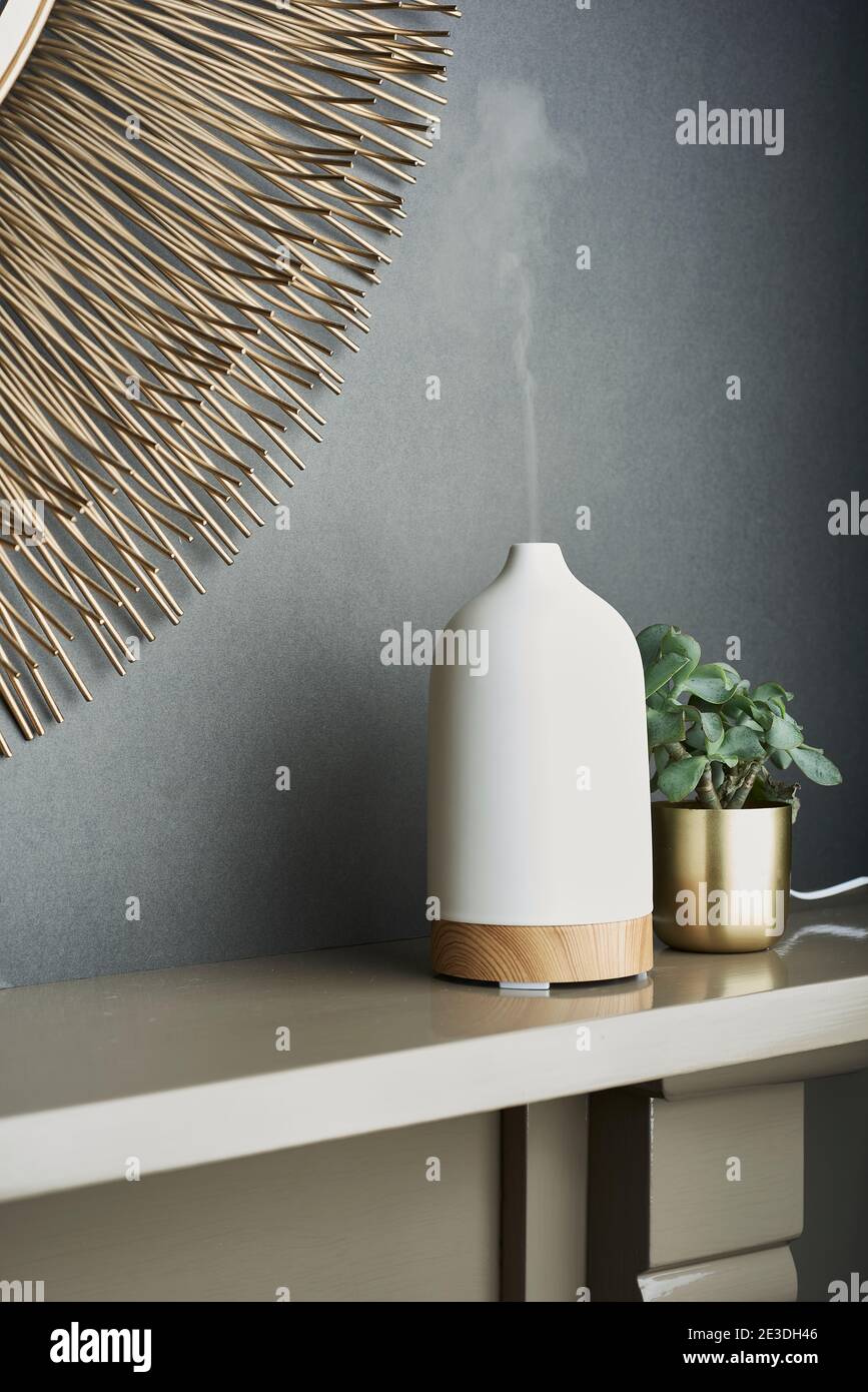 Stylish white electronic diffuser Stock Photo - Alamy