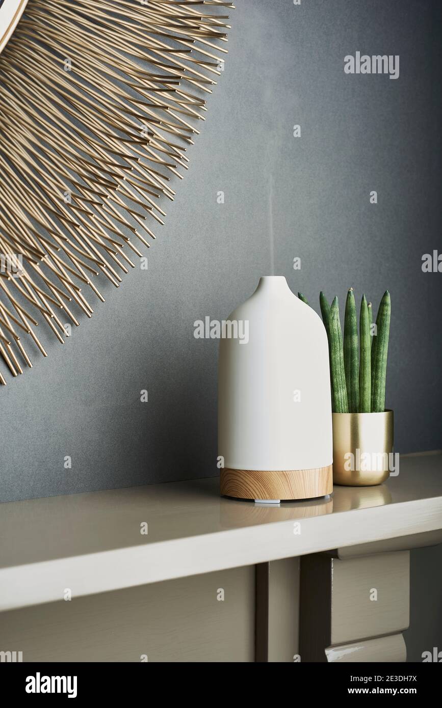 Stylish white electronic diffuser Stock Photo - Alamy