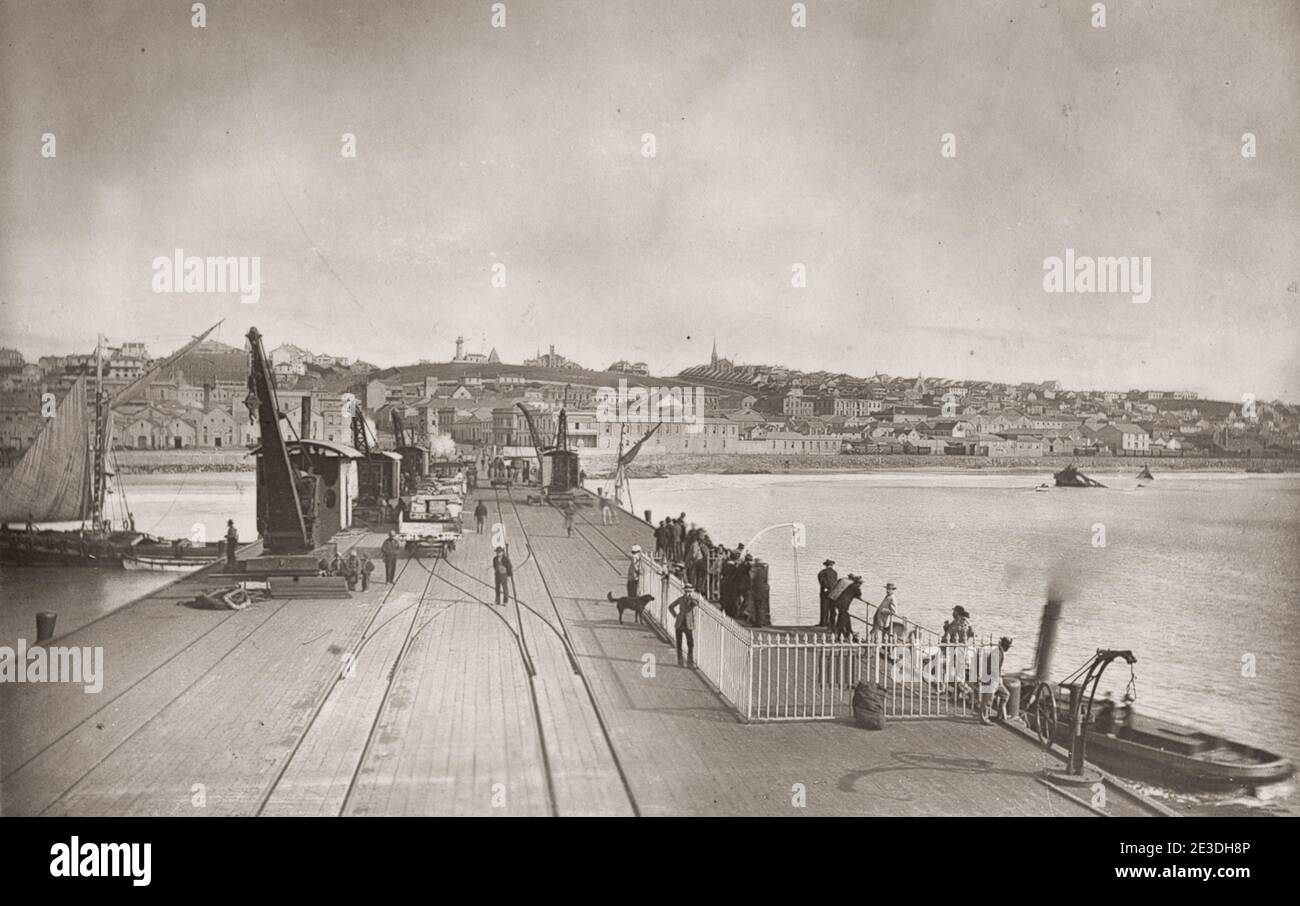 19th century vintage photograph: Port Elizabeth from the jetty, port ...