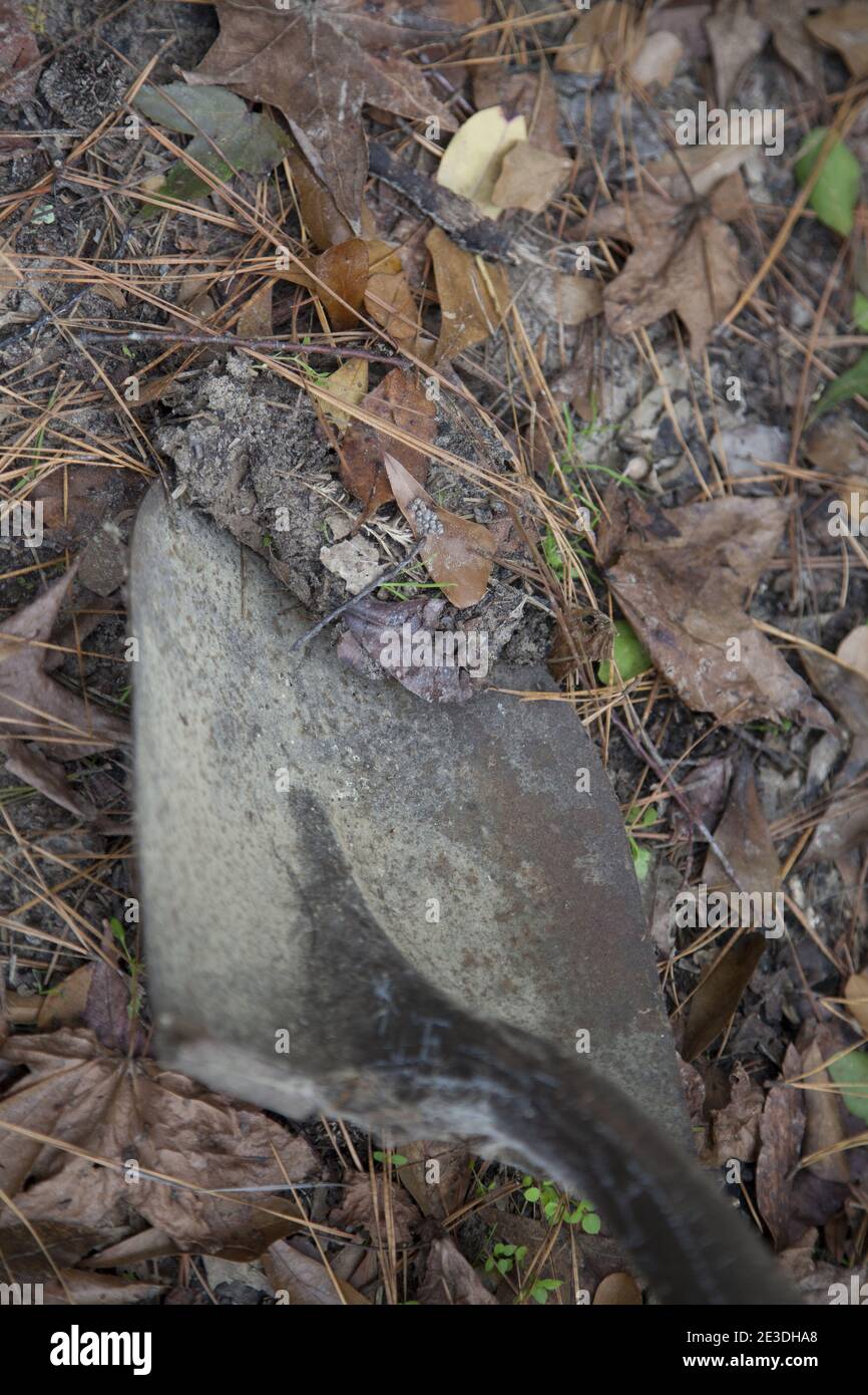 Shovel digging a shallow level into the cold ground Stock Photo - Alamy
