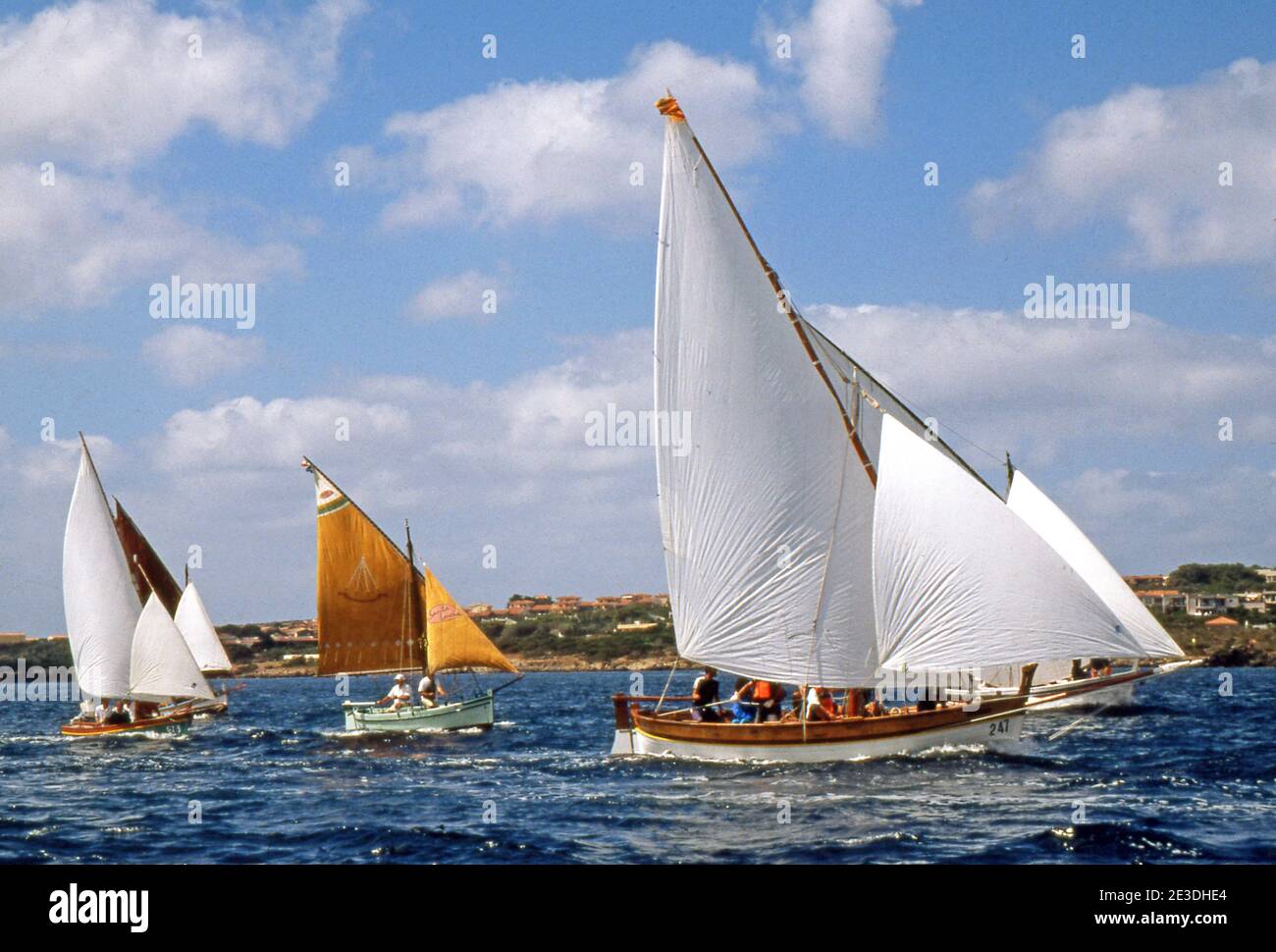 Stintino, Sardinia, Italy. Lateen sail regatta 2003 (scanned from ...